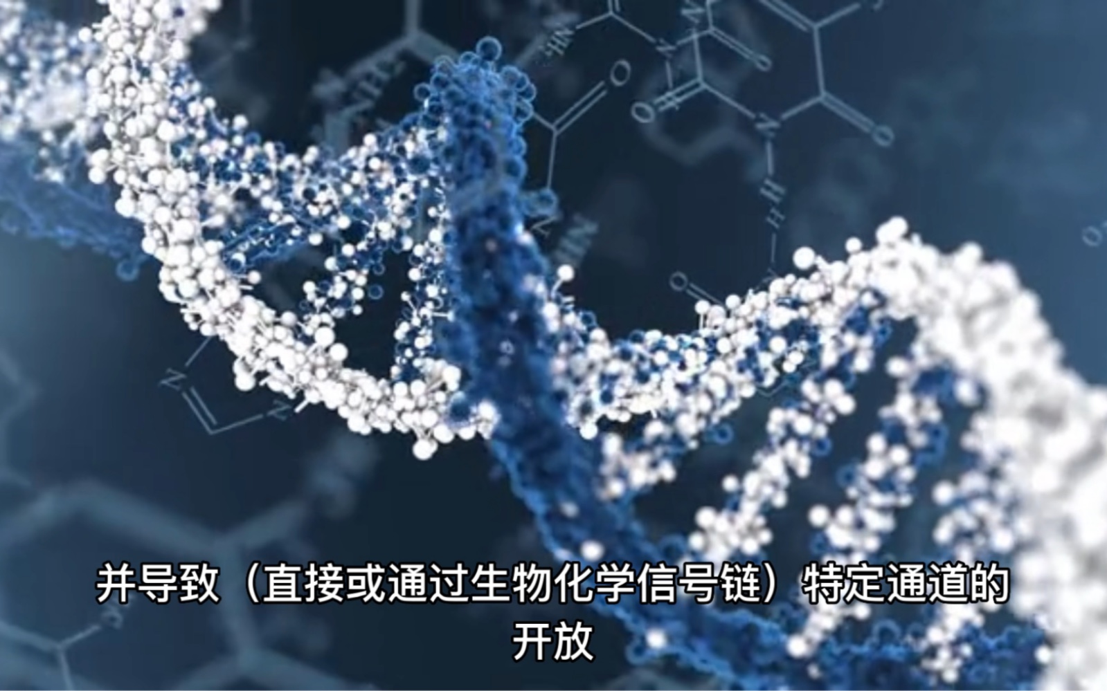 神经动力学-第一章-神经动力学基础-神经系统的元素
