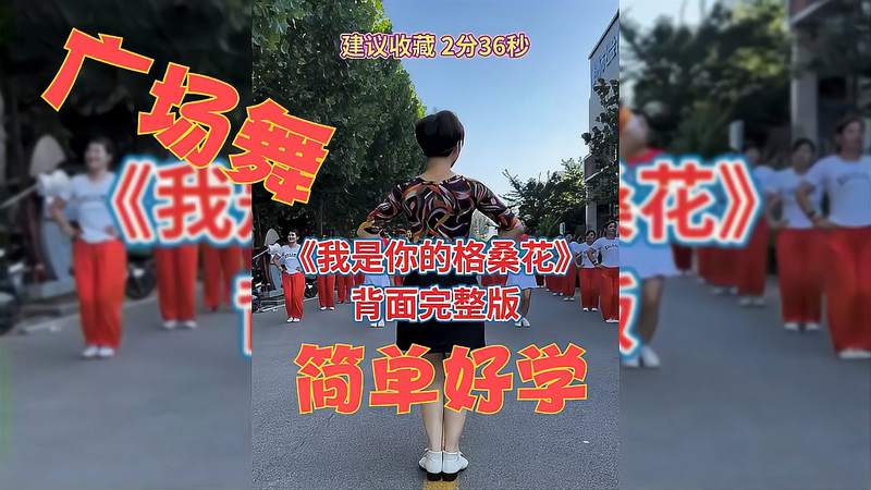 《我是你的格桑花》广场舞简单好学