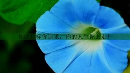 你的目标你追求,你的人生你去走!