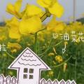 娜娜手工画 