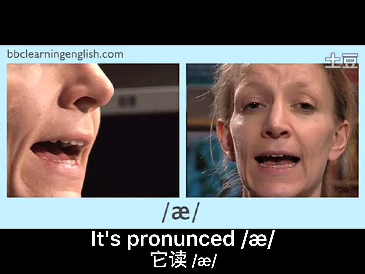 【中英+高清】第12课:短元音/æ/《BBC英式英语音标发音教程》