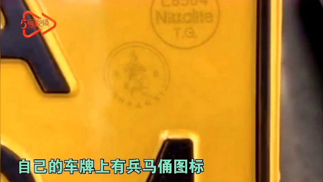陕西车牌上图标是兵马俑 四川是熊猫青海是藏羚羊 快看看你家乡的