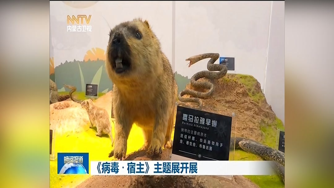 《病毒·宿主》主题展开展