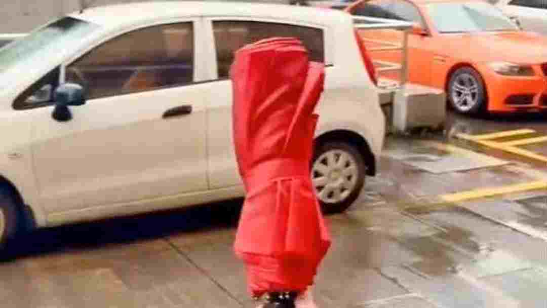 好产品分享折叠式自动收缩雨伞时尚好看又实用