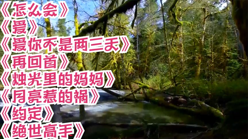 怎么会、爱、爱你不是两三天、再回首、烛光里的妈妈、月亮惹的祸
