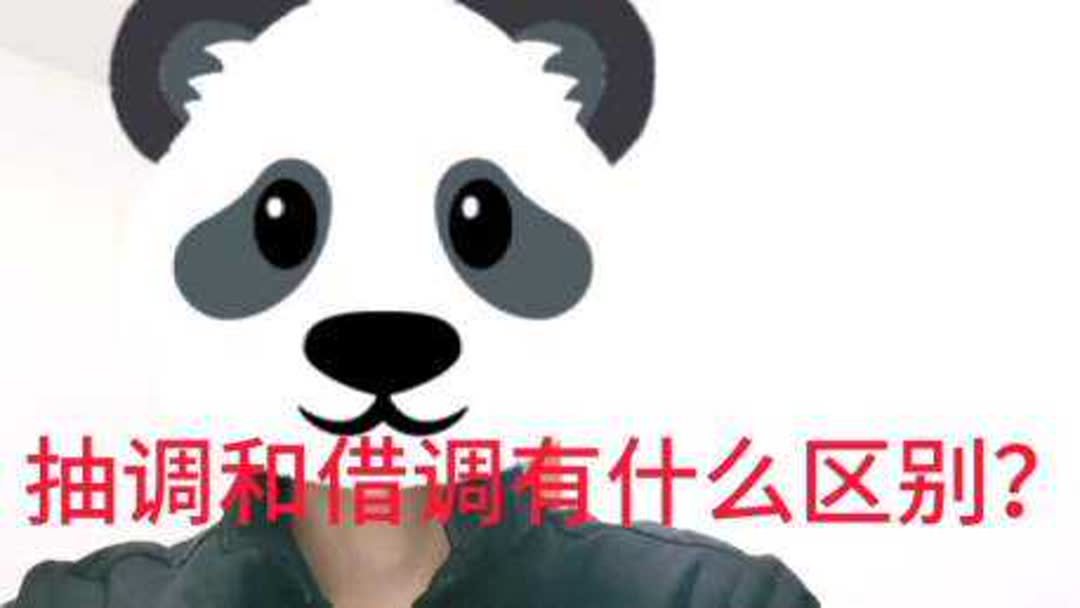 在机关事业单位,抽调和借调有什么区别?