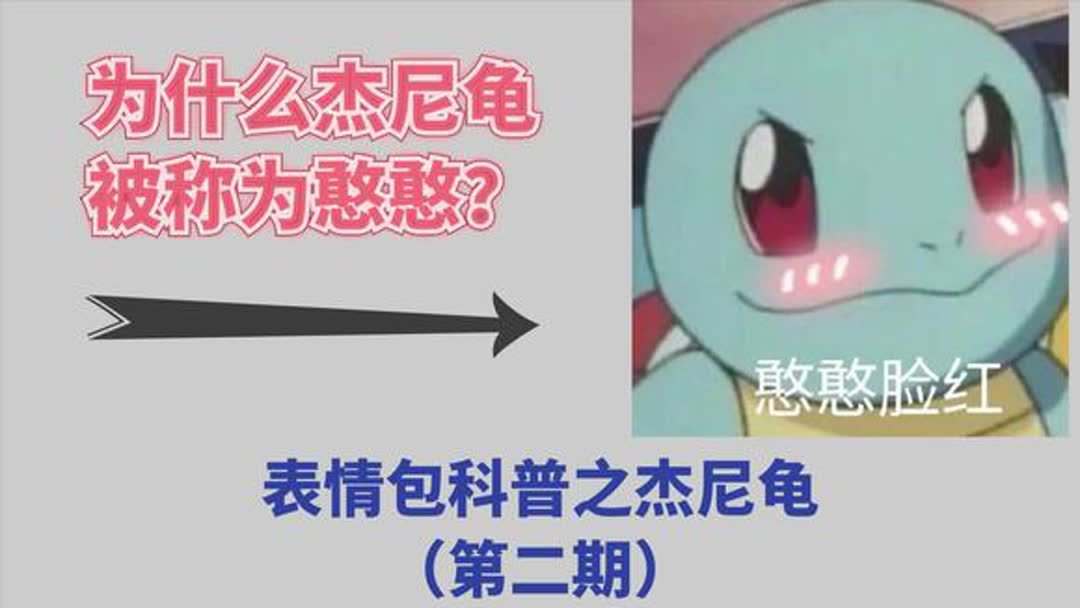 【表情包科普第二期】杰尼龟?憨憨?杰尼龟为何是憨憨