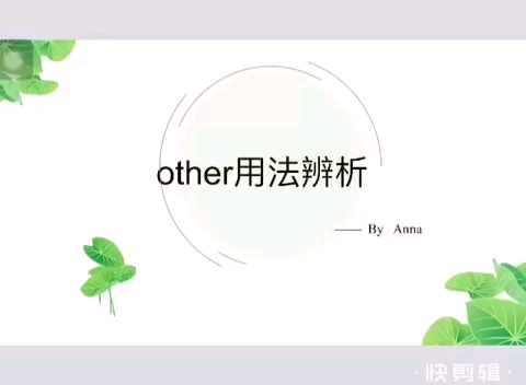 other用法辨析(Anna)
