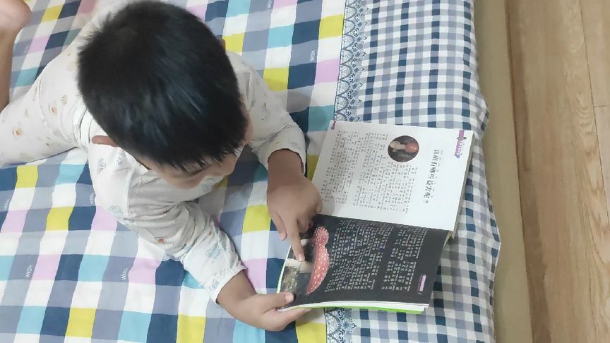 感谢强大的抖音,8岁小朋友书第一时间就想到红伞伞这个歌