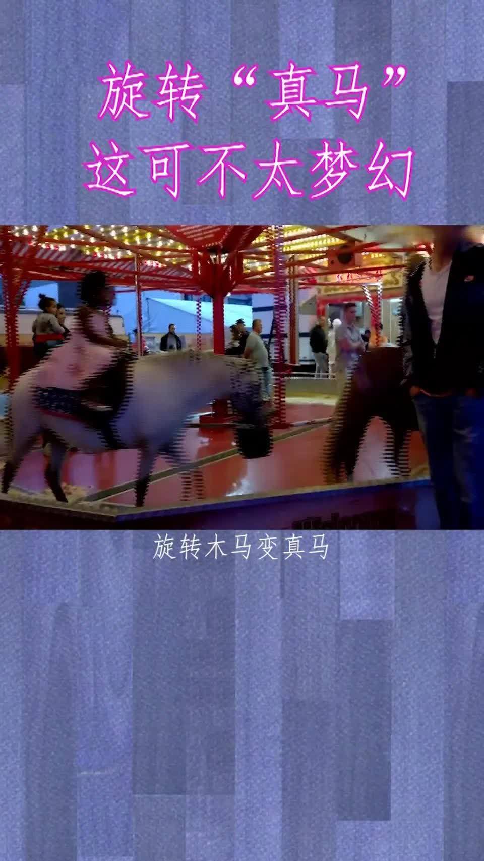 旋转"真马"这可不太梦幻………