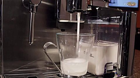 飞利浦Saeco HD8954全自动咖啡机