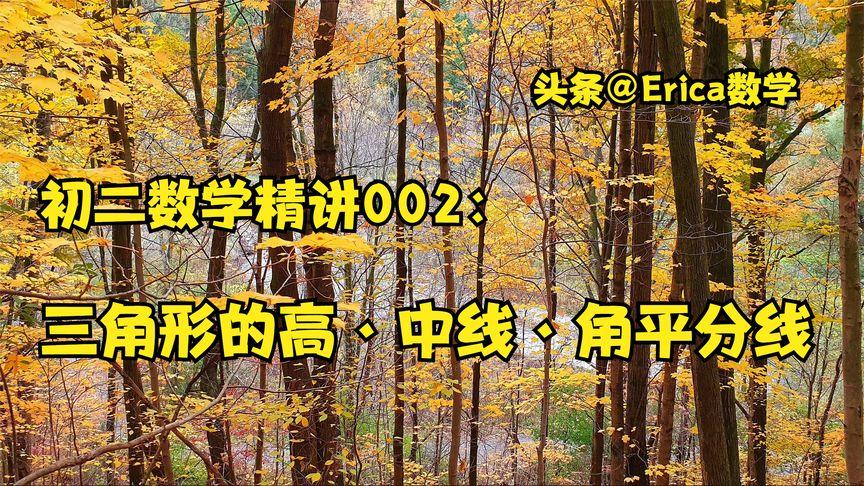 三角形三条中线的交点叫做三角形的重心!