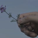 小峰视界ߒ 