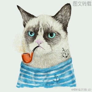 船长的罗盘 