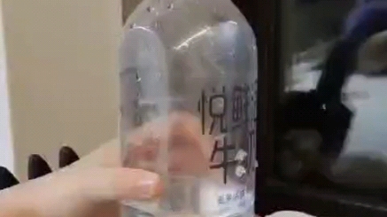 2023年寒假家庭小实验展示之一:水的表面张力实验
