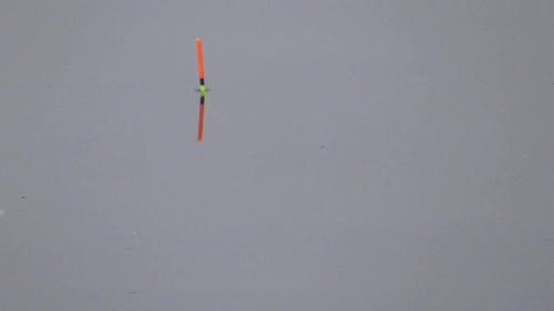 野钓,冰融化了,鱼却难钓了