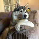 爱钓鱼的小明明明 