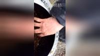 白果(银杏)去皮机