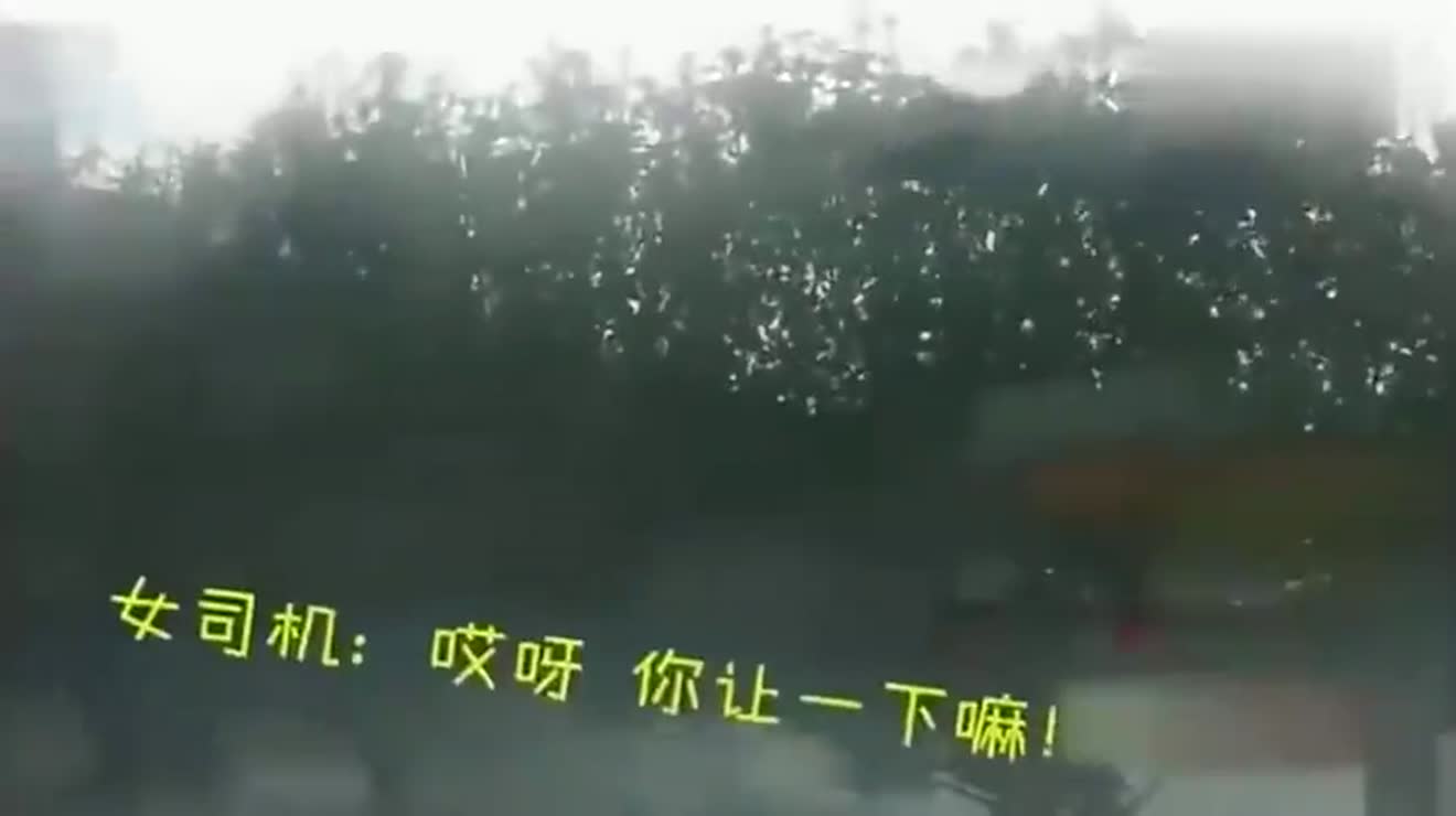 女司机逆行出车祸,听到车内的对话,我直接无语了!