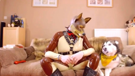 谁说人不如狗,英国男子模仿狗生活,每次出门都要和狗打招呼!