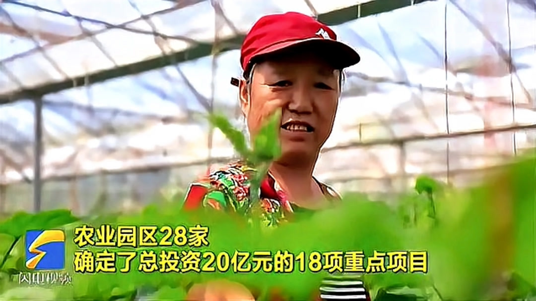 48秒|滨州滨城:深挖潜力促转型 着力打造沿黄生态产业带