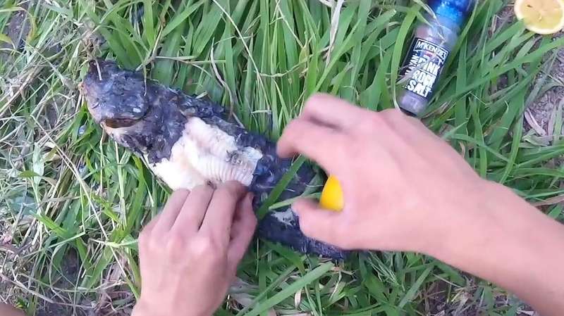 木炭与鱼!好吃的自制碳烤鱼,一顿鲜美午餐!