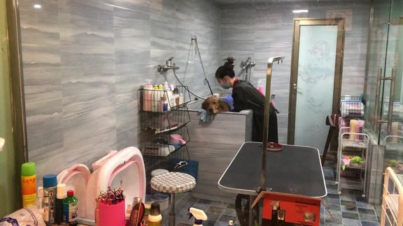 #宠物店日常 #宠物洗澡