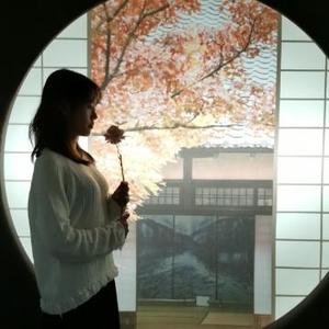 小李老师爱数学 