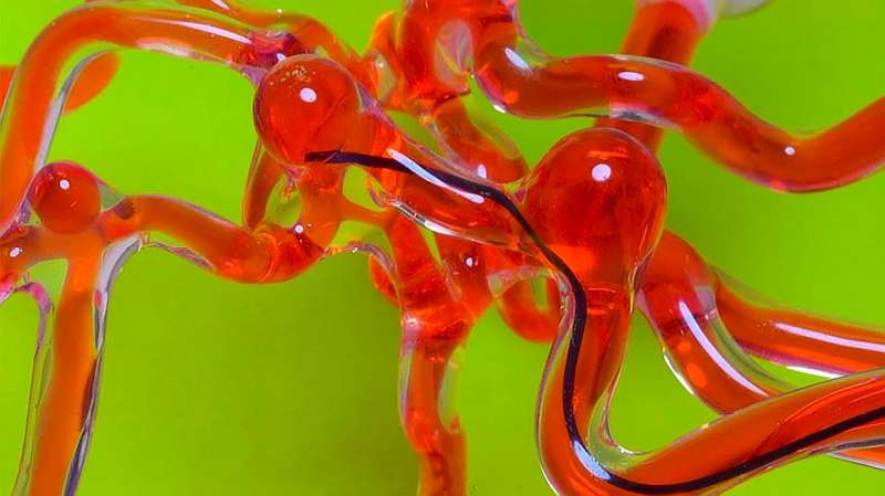 这个“医生”不一般,90分钟内抢救中风病人!