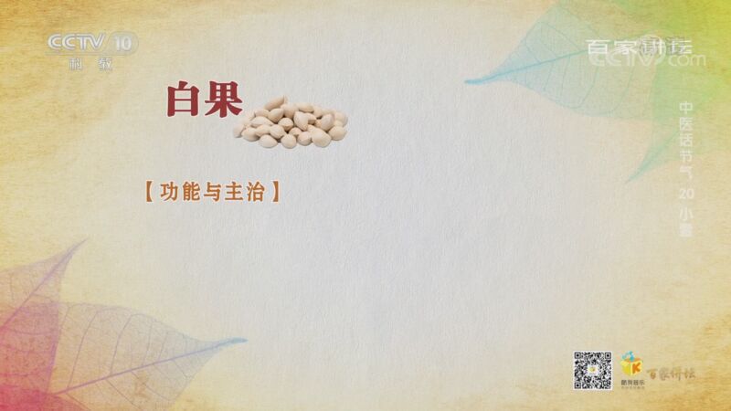 [百家讲坛]冬季吃白果的好处