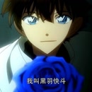 超爱斗子的孩纸 