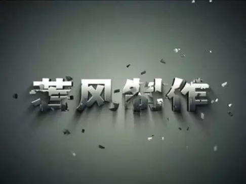 【若风制作】若风传媒-特效片头展示,会声会影仿AE震撼logo片头