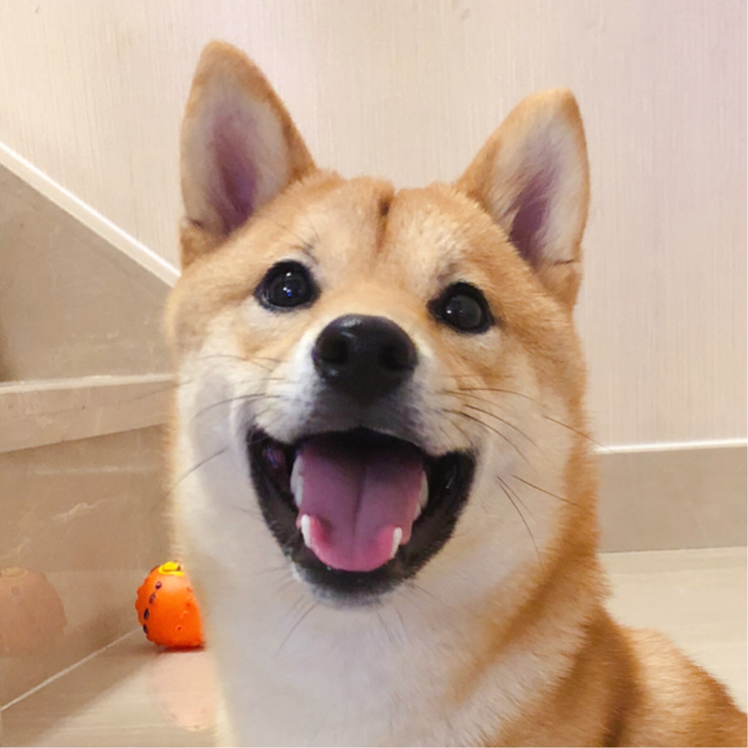 鬼影大人韩小帅 