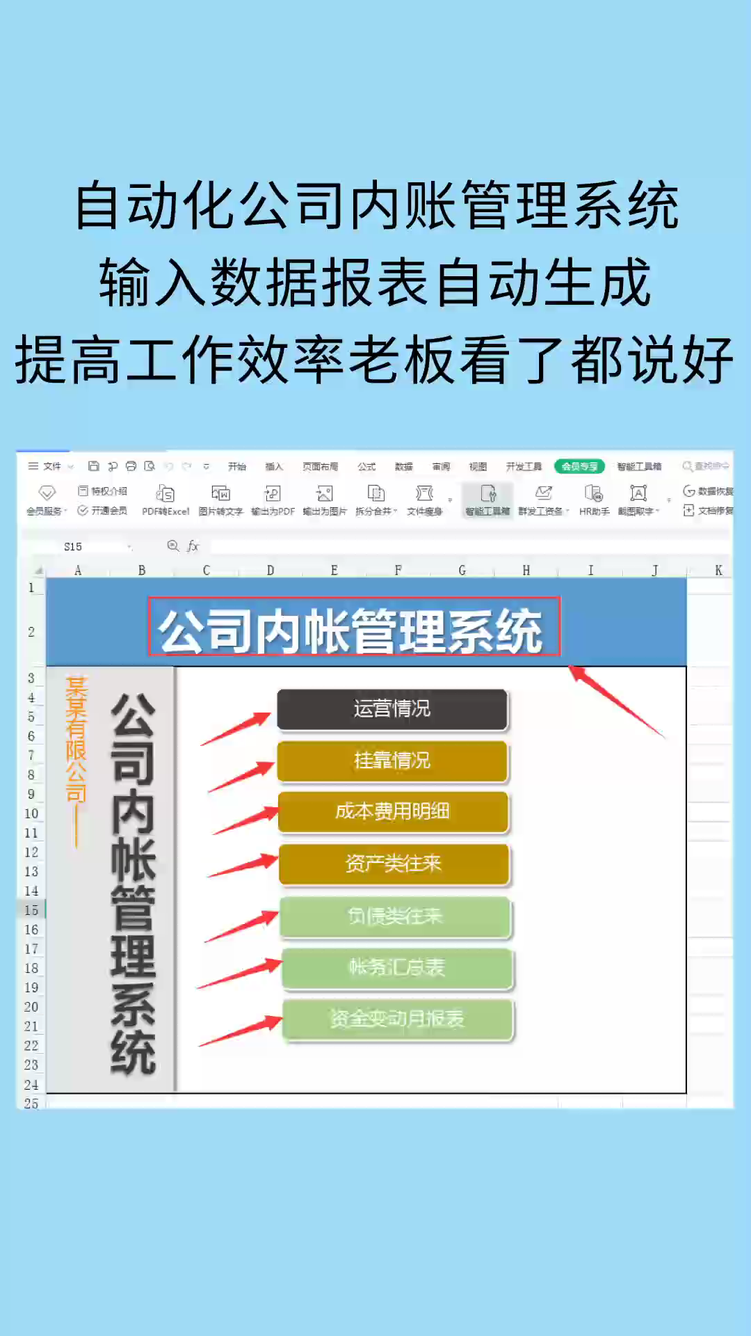 公司内帐管理系统,输入数据自动生成报表,老板看了都说好