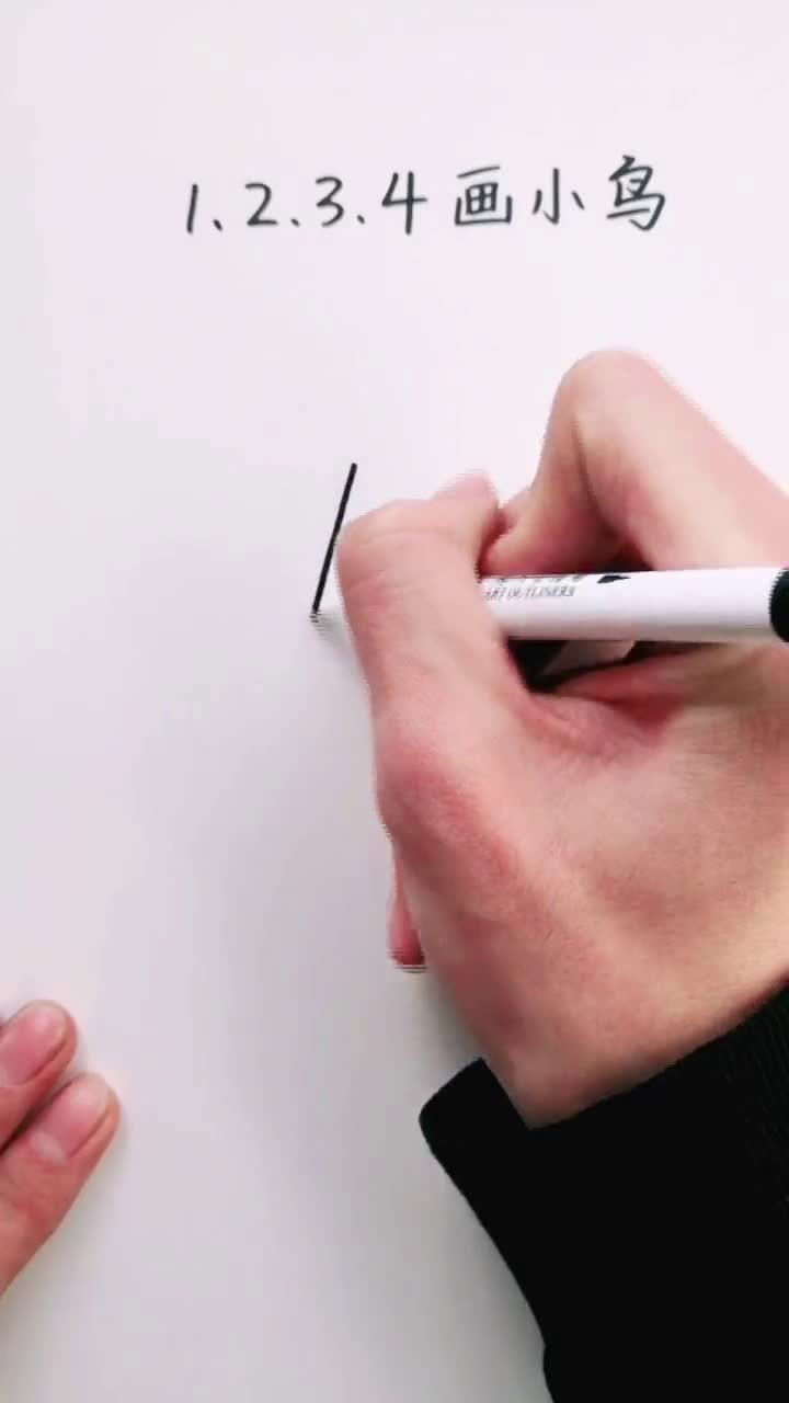 用数字画小鸟你学会了吗