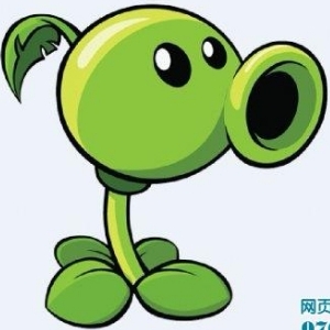 玩斗地主的vandoor射手 