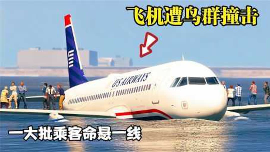 模拟器:飞机遭鸟群撞击,大批乘客命悬一线,机长能否成功迫降?