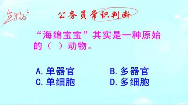 公务员常识判断,“海绵宝宝”是一种什么动物?知道的是真学霸