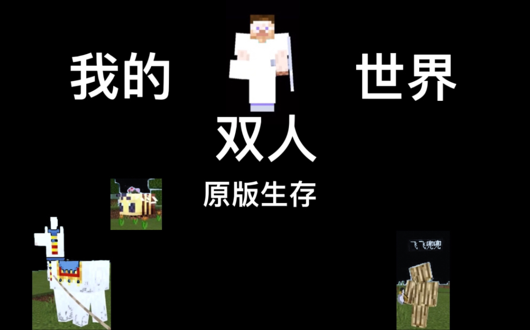 网易我的世界双人原版生存!(参与者:耗子白告 飞飞兜兜)