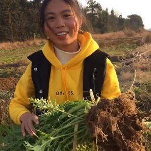 农家小秀 