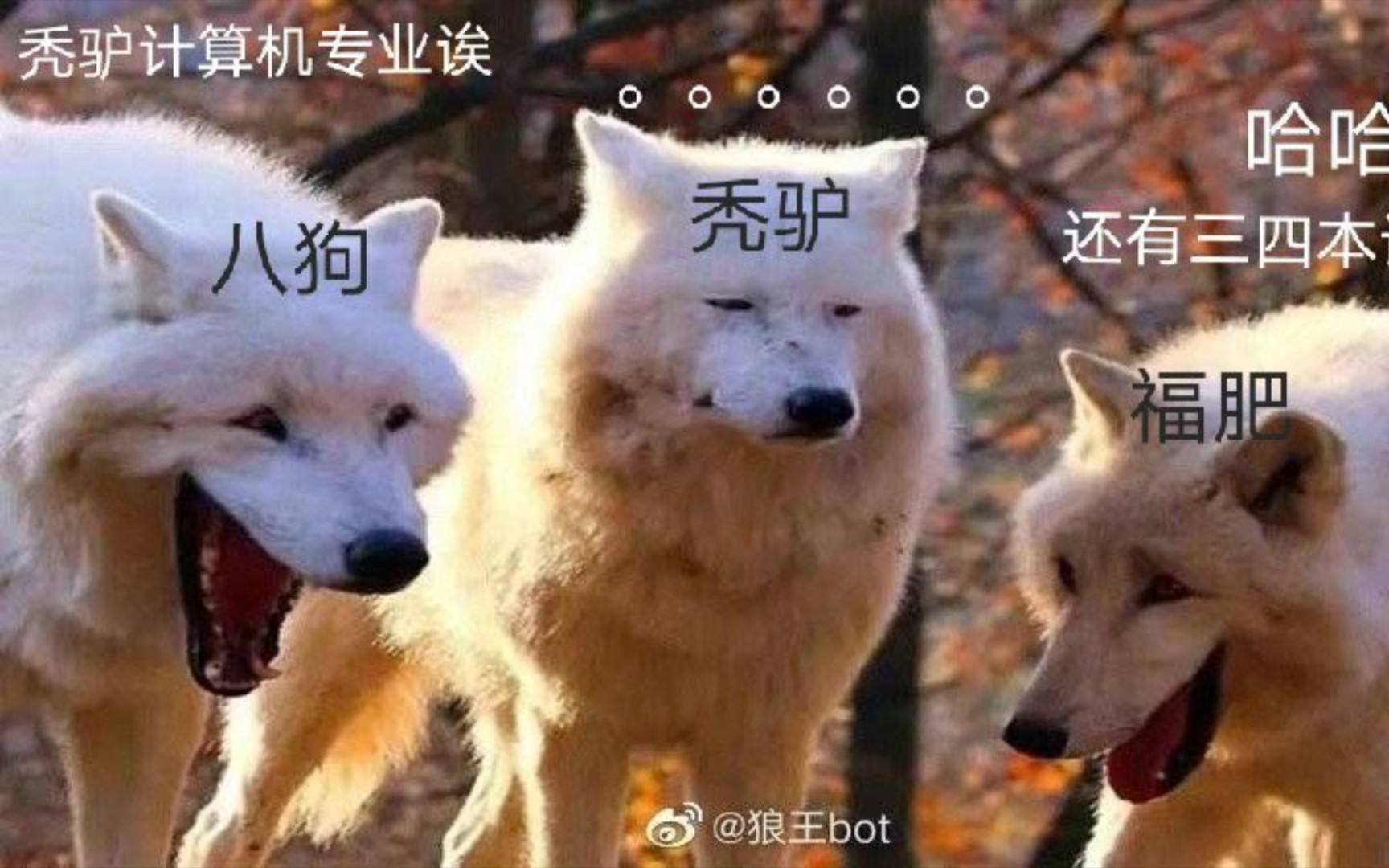 我的计算机专业朋友狂按睡眠模式说电脑黑屏