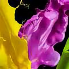 有你有我2904 