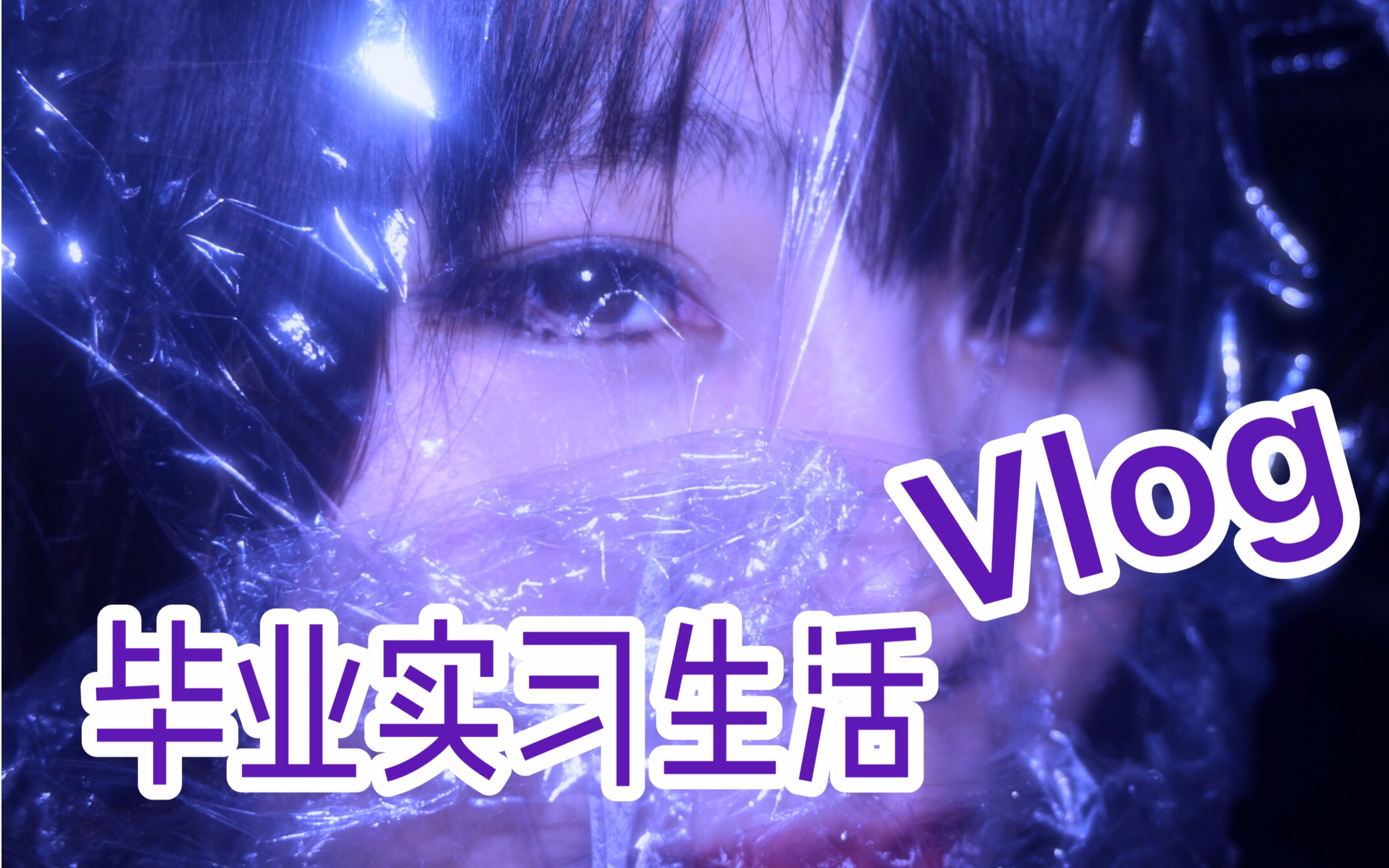 【有猫预警】毕业季实习生活记录/逐渐离开学校后的生活