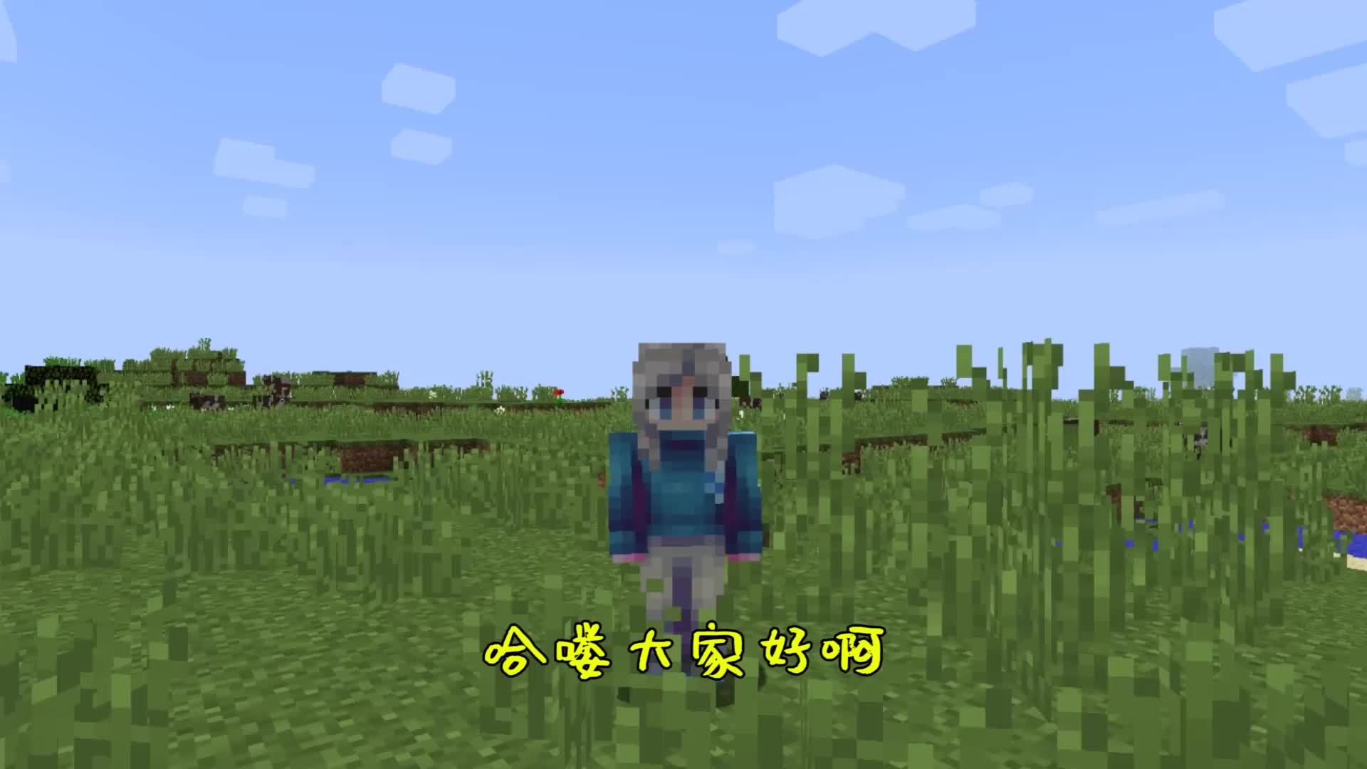 我的世界:最令人感动的服务器,愿天堂再无病魔