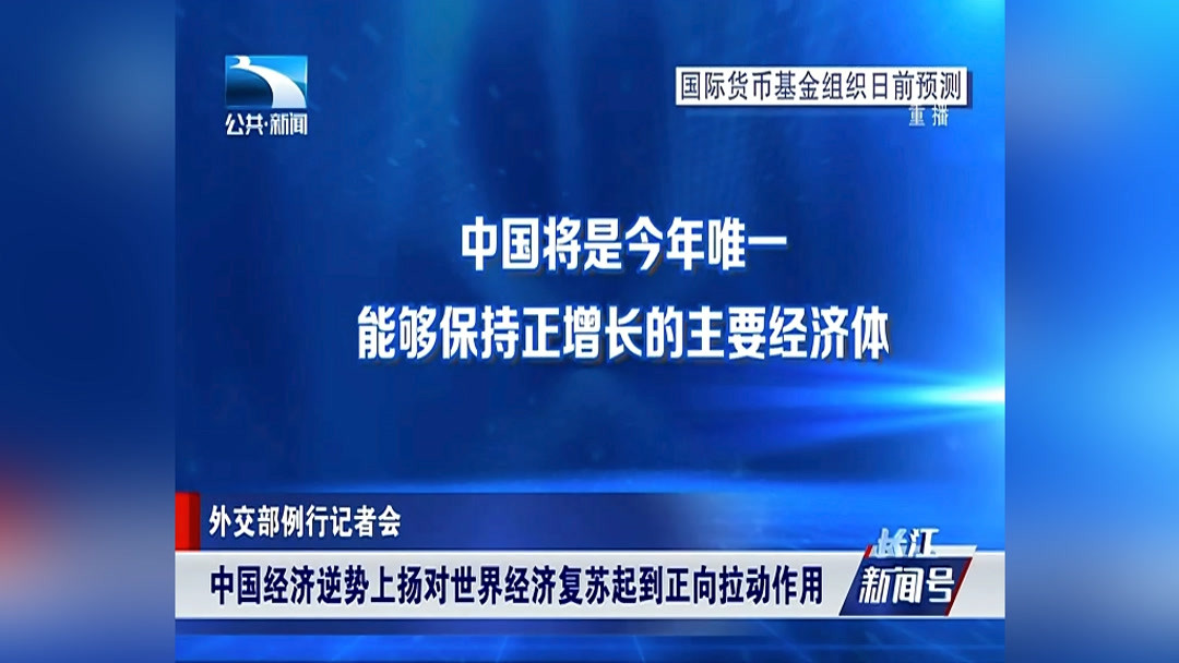 中国经济逆势上扬对世界经济复苏起到正向拉动作用