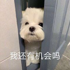 17398392652标签打印机 