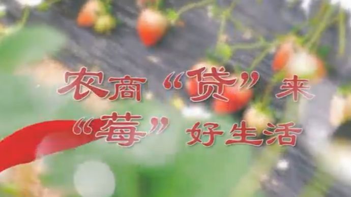 莒县农商银行:农商"贷"来"莓"好生活