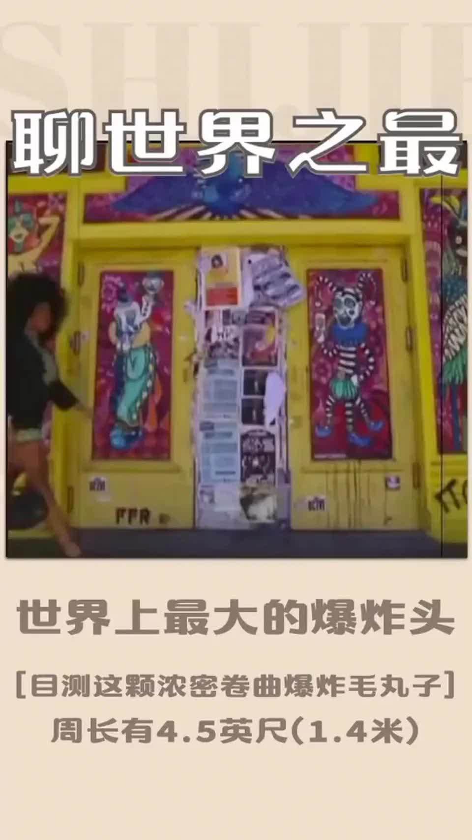 世界上最大的爆炸头世界上之最