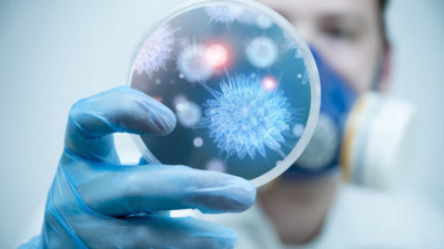 双黄连:对"病毒"有抑制作用吗?医生给出答案