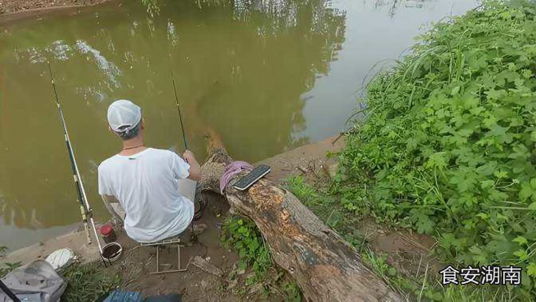 秋天野钓小河沟单杆还是双杆好?看看钓友双杆就等巨物来袭明白了